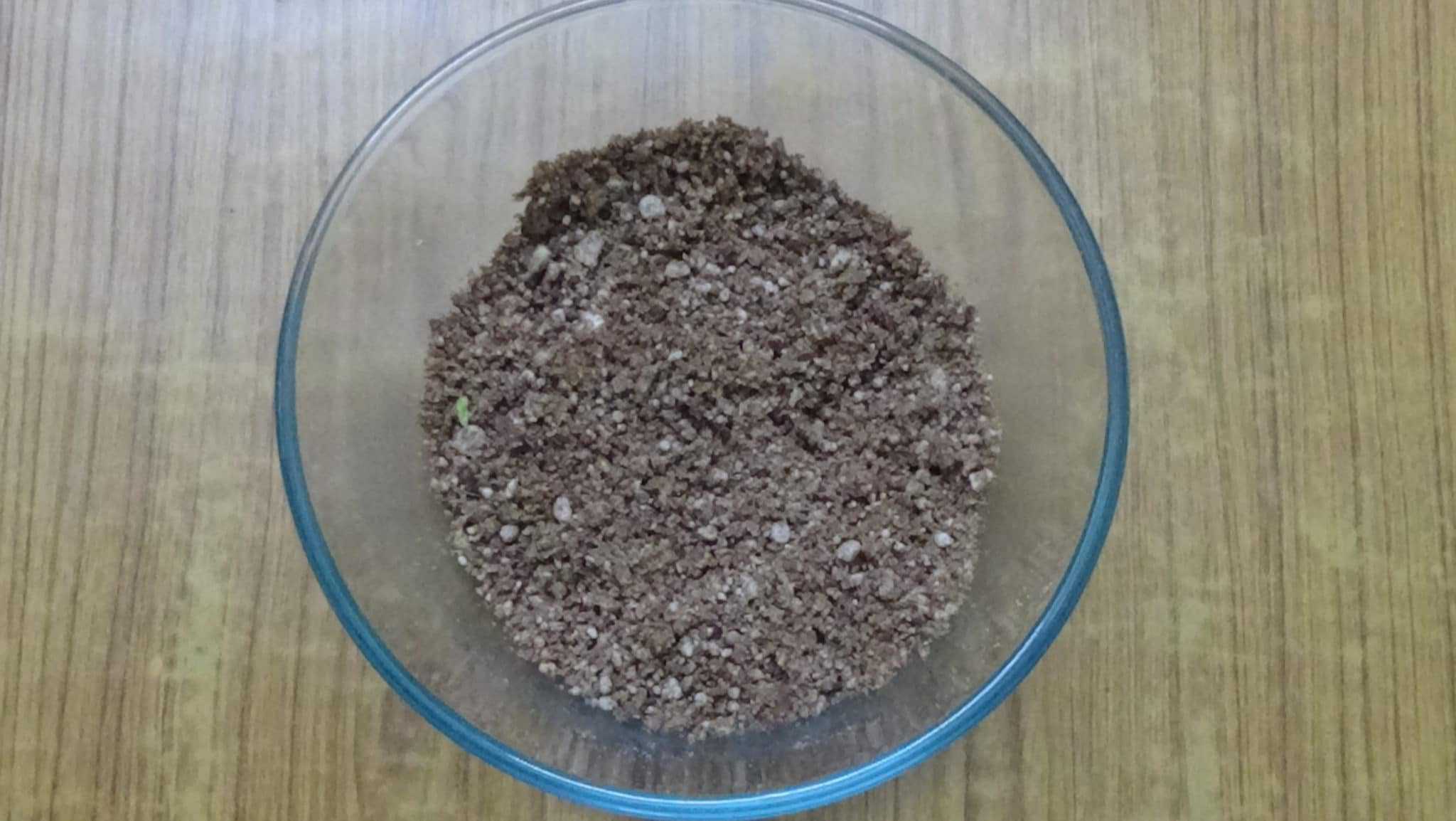 Ragi puttu | Kelvaragu puttu | Finger Millet sweet puttu | Ragi sweet ...